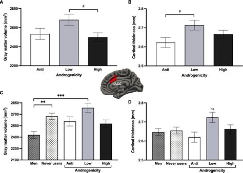 Frontiers Morphologic Alterations Of The Fear Circuitry The Role Of