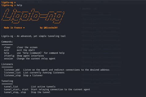 How To Use Ligolo Ng Easy To Follow Pivoting Tutorial
