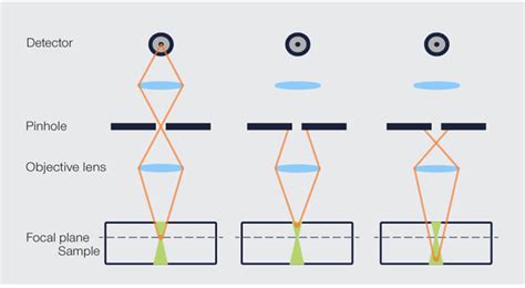 optical sectioning or tackling the background problem abberior rocks