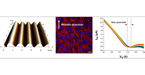 Wrinkled Pdms Based Graphene Field Effect Transistor Biosensor Acs Applied Electronic Materials