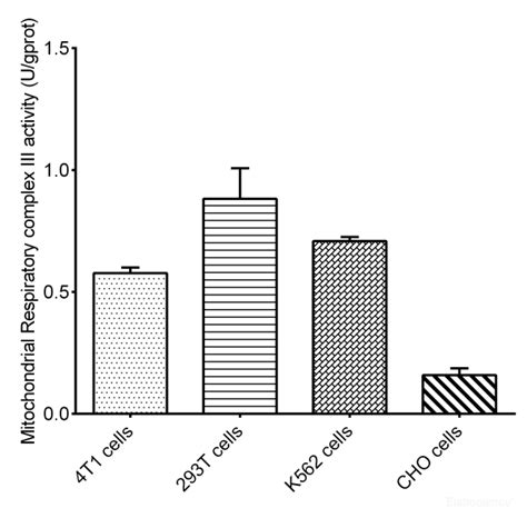 Cell Mitochondrial Complex Iii Coenzyme Q Cytochrome C Reductase