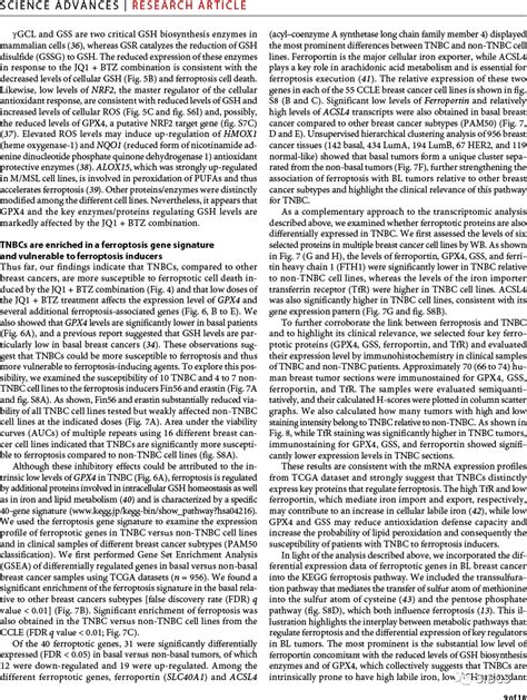 双管齐下诱发三阴性乳腺癌细胞铁死亡 Yaron