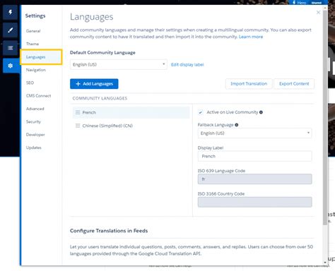 Community Pages Localization In Salesforce Part 1