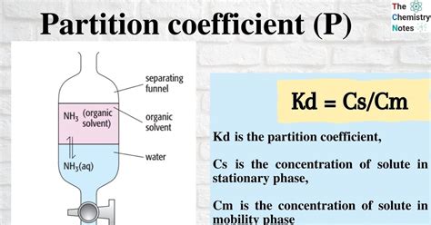 Concentration Definition