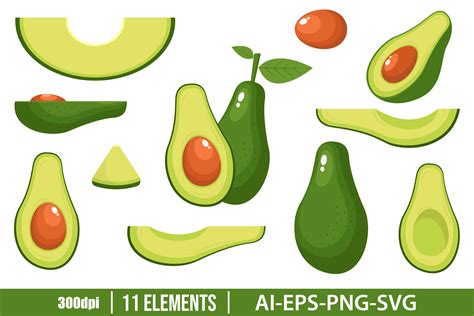 Avocado Clipart