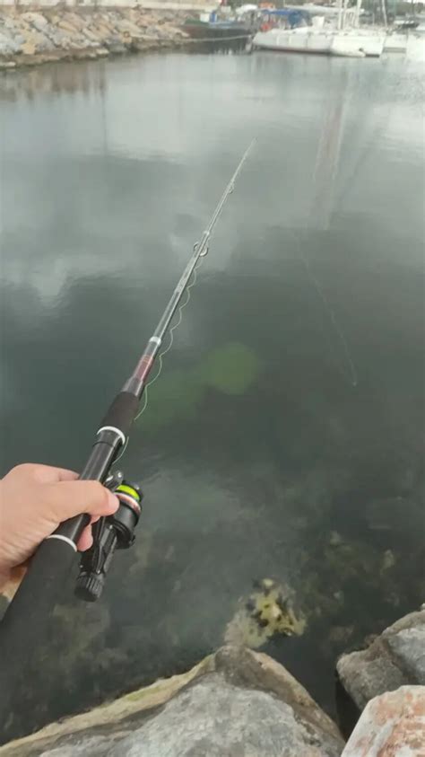 Spin Kamış Göl Deniz Dere Olta Takimi Diğer 1624345777