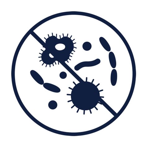 Furniture And Upholstery Cleaning Services Entech