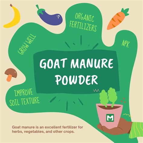 Goat Manure Powder 25kg Myowngarden Agri Products
