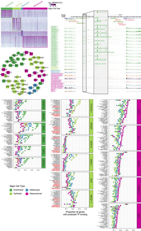 Cell Cluster Specific Genes A Expression Of 2871 Genes Specific To