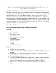 Bacterial Genetics Lab Report Docx Bacterial Genetics Transformation And Confirmation Using