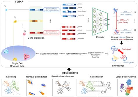Figure 1 From Self Supervised Contrastive Learning For Integrative
