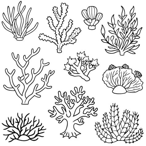 Set Of Vibrant Coral Reef Vector Art Illustration Premium Ai
