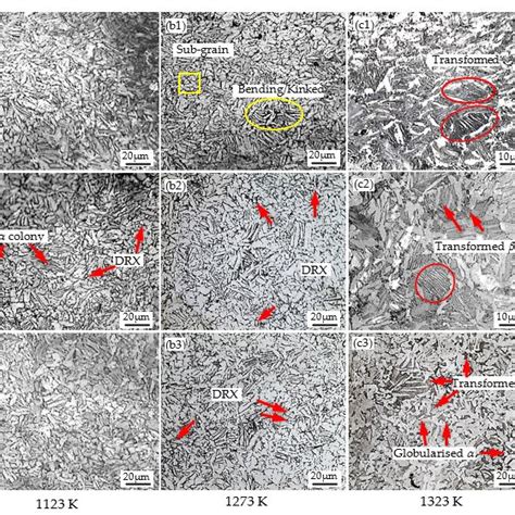 Microstructure Of Ti 1100 Alloy With A Strain Of 06 At A1 1123 K1 S