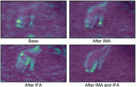 Dual Prototype Attention For Unsupervised Video Object Segmentation Bytez