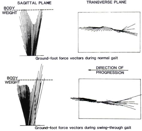 Typical Ground Reaction Force Vector Plots Of The Right Leg During
