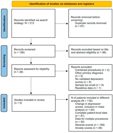 Stereotactic Radiofrequency Ablation For Treatment Refractory Depression A Systematic Review