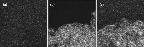 particle images obtained in proximity to the tnti when using the