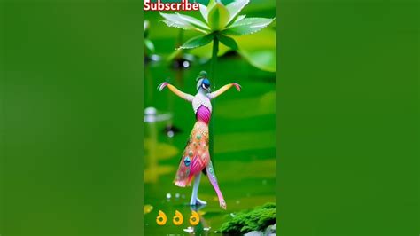 Kithe Chali Kithe Chali Ban Ke Kabutari 👌youtube Dilerkharkiya Yts Shorts Shortsfeed