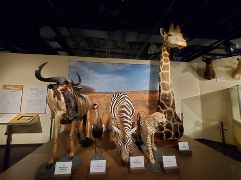 History Museum Kenosha At Sammy Parra Blog