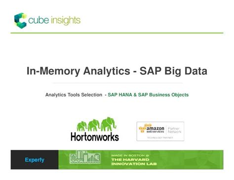 pdf in memory analytics sap big data analytics tools selection