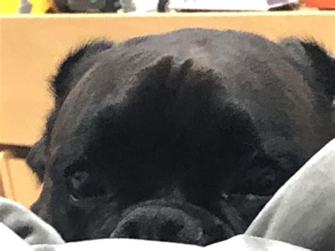 Why Is My She So Cute 💀help💀 R Boxers