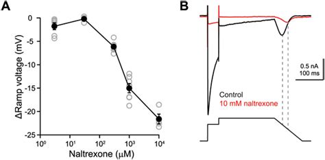 Patch Clamp Techniques Plos One