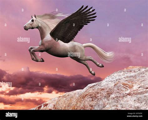 Real White Pegasus