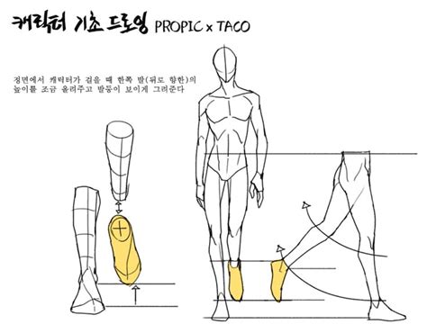 타코작가 on X 드로잉 강좌 그리기 튜토리얼 강좌