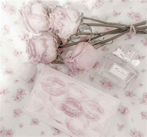 How To Look Pretty With Pink Roses Soft Pink Photo Cosas Rojas Pink