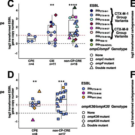 Log 2 Transformed B Lactamase Gene Copy Numbers With Outer Membrane Download Scientific Diagram
