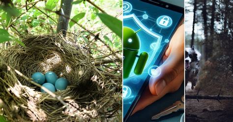 List Android Curated By Joshua Kovach Medium