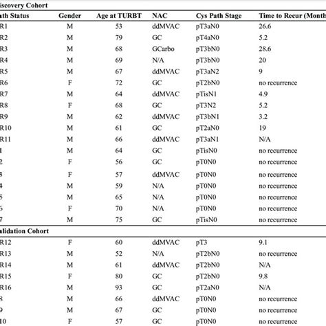 Volcano Plot Of Significant Differentially Expressed Genes With The Download Scientific Diagram