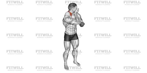 Assisted Rotating Neck Stretch Exercise Guide Techniques Benefits