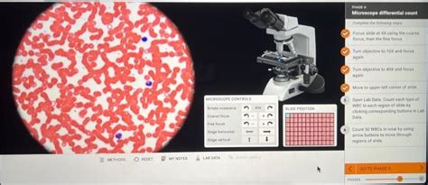 Solved Lab Data Chegg