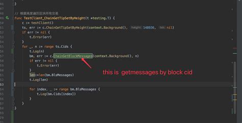 Chaingettipsetbyheight Method Synchronization Lacks Message · Issue