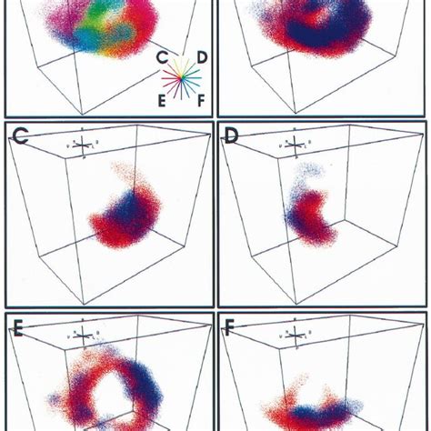 Anatomical Segregation Be Tween Two Functional Representations A