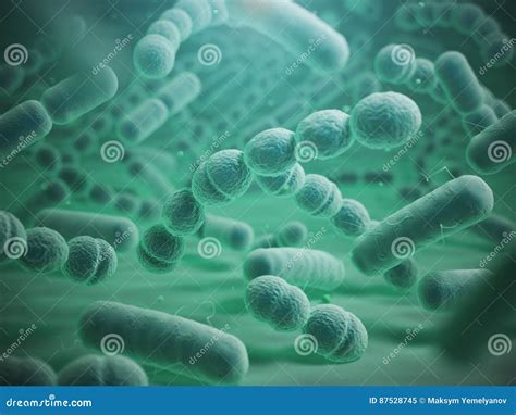 Streptococcus Mutans Bacterium Britannica