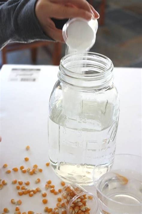 Make Corn Dance With This Simple Science Experiment Easy Science