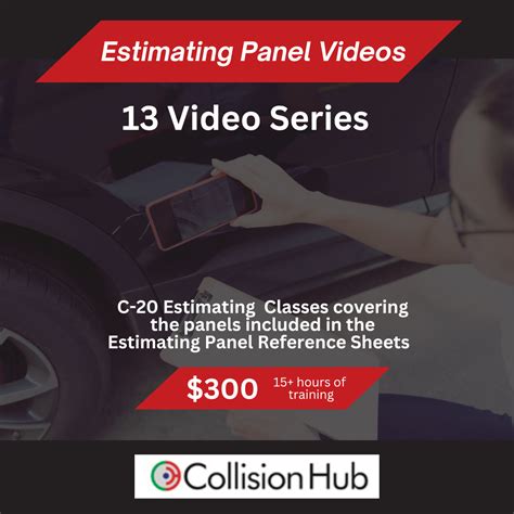 Estimating Panel Videos