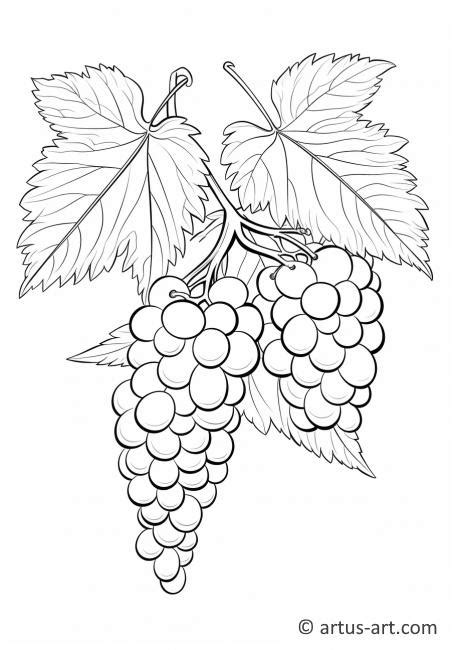 P Ginas Para Colorear De Uvas Descarga Gratuita Artus Art
