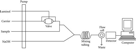 Schematic Diagram Of The Flow Injection System For Determination Of Rox