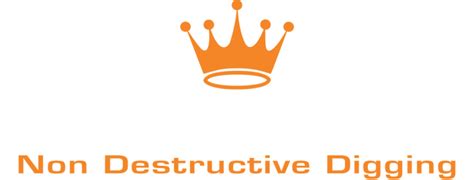 Root Mapping For Tree Protection Zones Tree Protection During