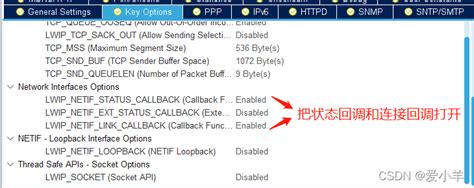 从零开始cubemx配置stm32搭载freertos以及lwip实现tcp网络通信（二）cubemx Lwip Csdn博客
