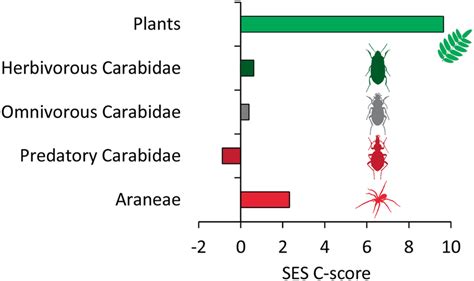 Standardized Effect Sizes Ses With Respect To The Fixed Fixed Null Download Scientific Diagram