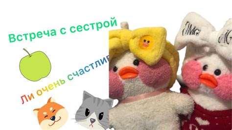 Ли увиделась с младшей сестрой УточкаЛалафанфан Youtube