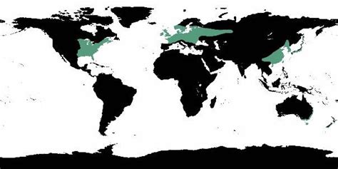 Temperate Deciduous Forests Natureworks