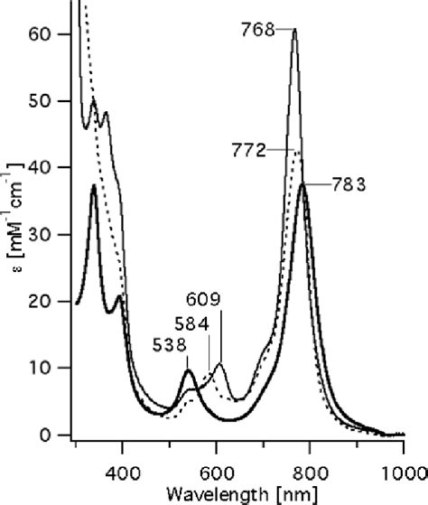 Figure 1 From Design Of Amphiphilic Protein Maquettes Enhancing
