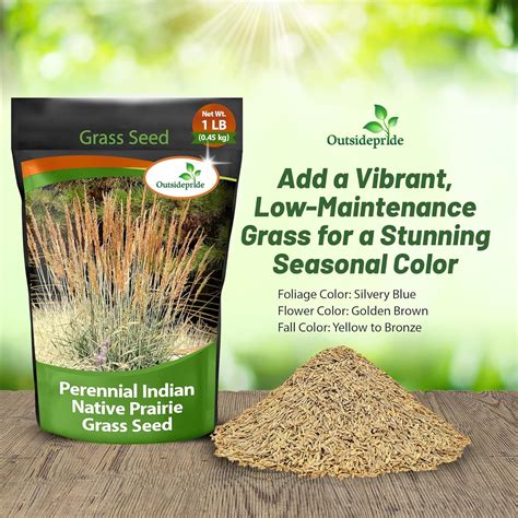 Indian Grass Seed Indian Grass Drought Tolerant Native Grass Seeds For