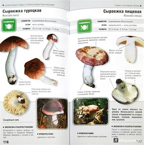 smartertopiki - Blog