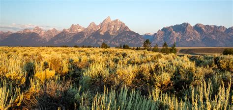 Upon Grand Teton Adventure Journal Summer Volunteer Days At Grand